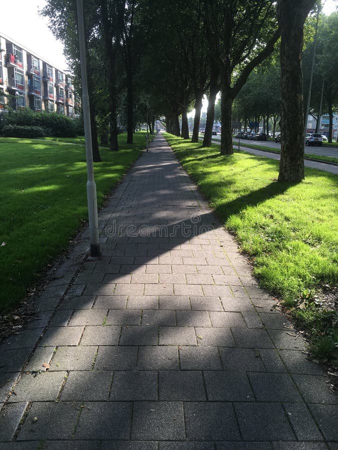 Pathway in city stock photo. Image of road, city, buildings - 98348032