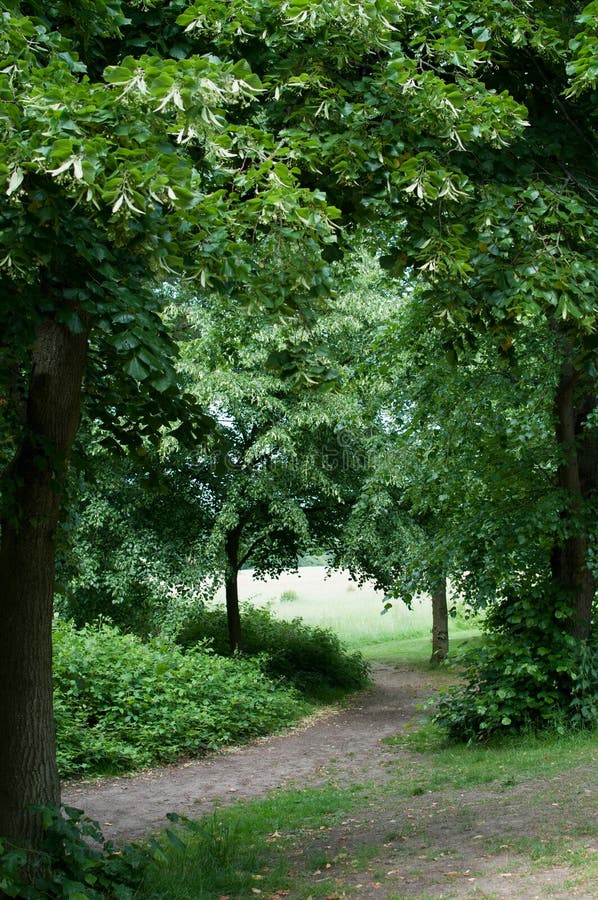 505 Rambling Pathway Stock Photos - Free & Royalty-Free Stock Photos ...