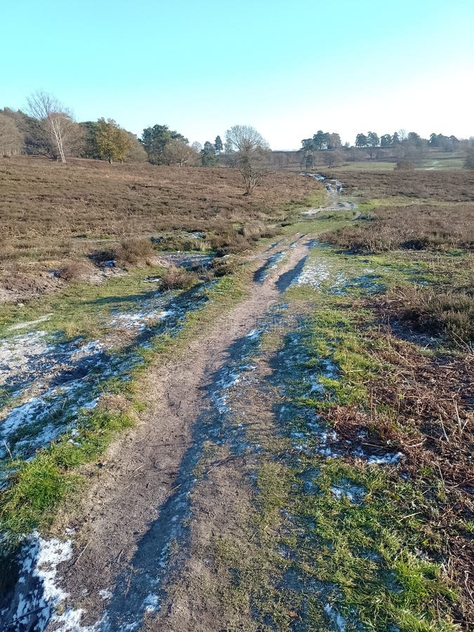 Pathway, County Side, Tracks ,walks , English Country Side Stock Image ...