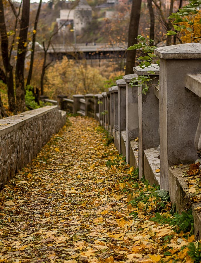 Pathway Covered in Autumn Leaves with Scenic Background View Stock ...