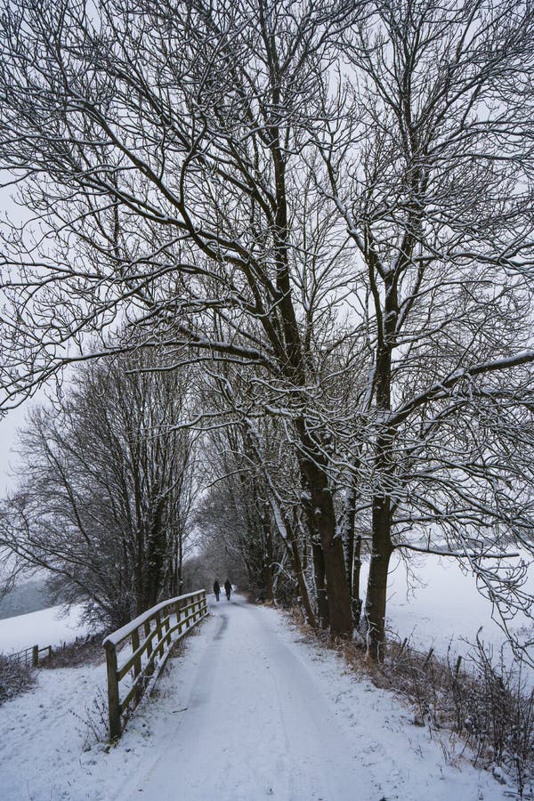A Winter wonderland stroll stock image. Image of footpath - 137911793