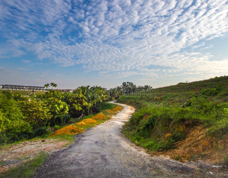 543 Curvy Pathway Photos - Free & Royalty-Free Stock Photos from Dreamstime