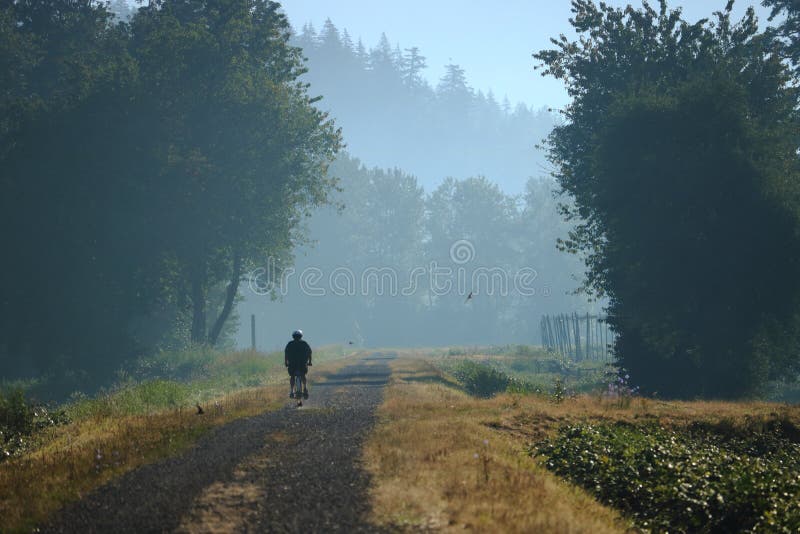 Forest Fire Effect on Rural Environment Stock Image - Image of exercise ...