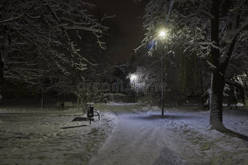 Pathway in dark park stock photo. Image of lantern, park - 265539872