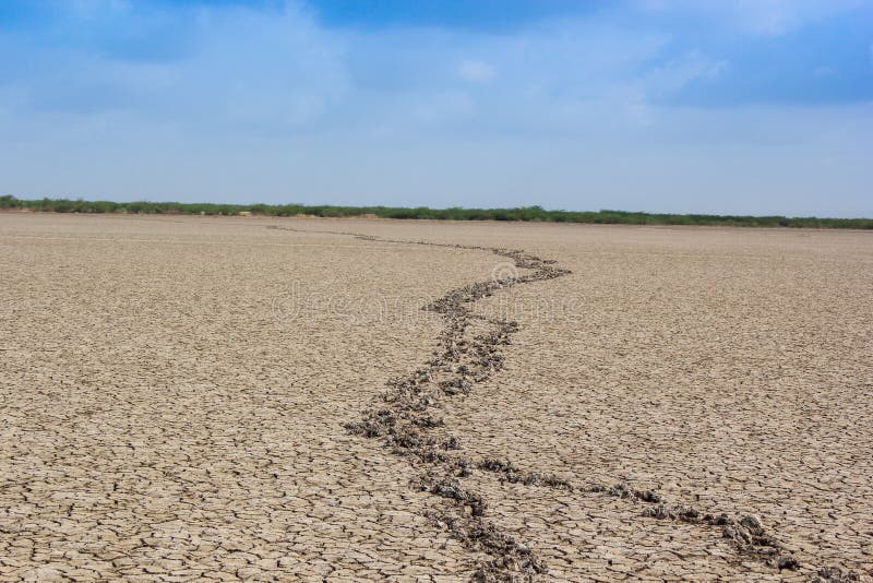 Pathway in Draught stock photo. Image of biosphere, biodiversity - 55547702