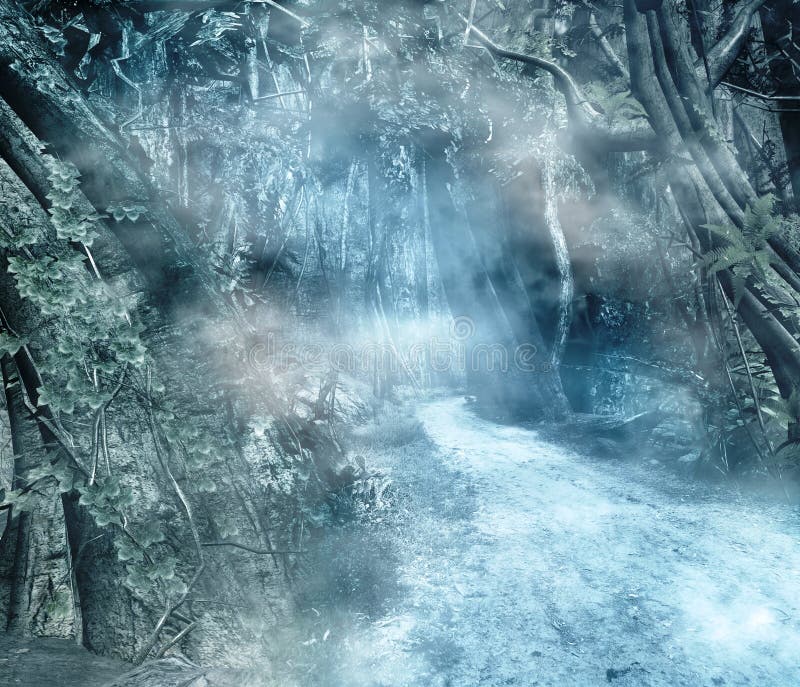 2+ Enchanted forest pathway Free Stock Photos - StockFreeImages