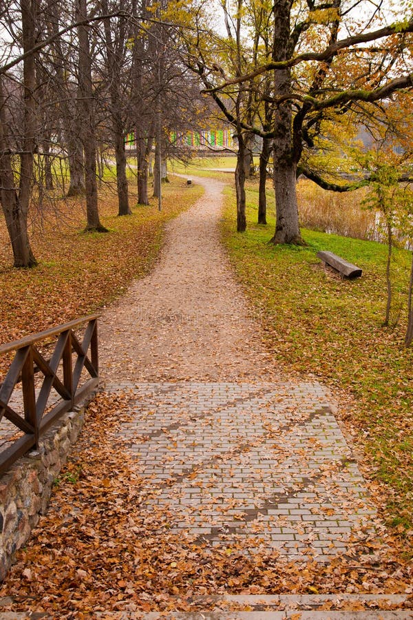 Pathway in the Fall stock image. Image of ground, garden - 2752207