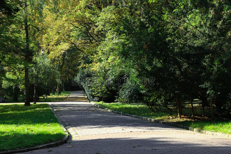 Pathway, Fallen Leaves and Trees in Beautiful Park on Autumn Day Stock ...