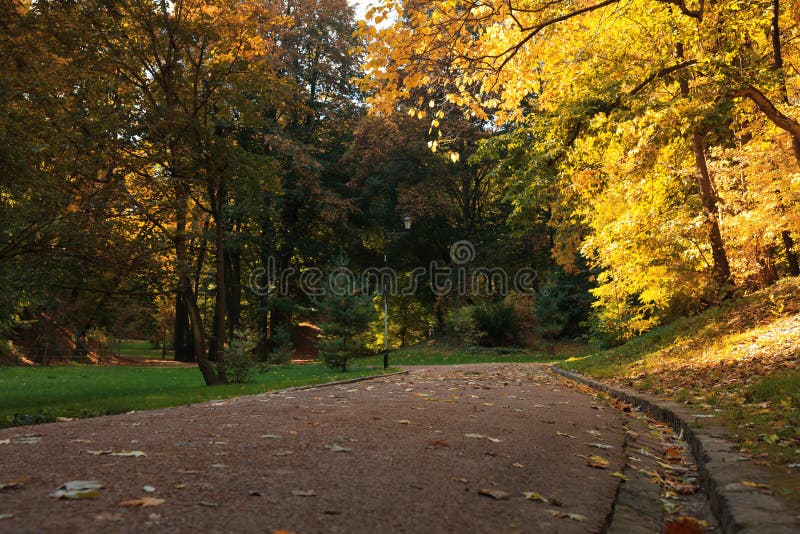 Pathway, Fallen Leaves and Trees in Beautiful Park on Autumn Day Stock ...