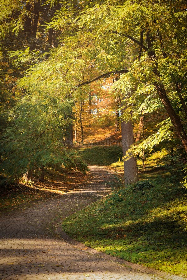 Pathway, Fallen Leaves and Trees in Beautiful Park on Autumn Day Stock ...