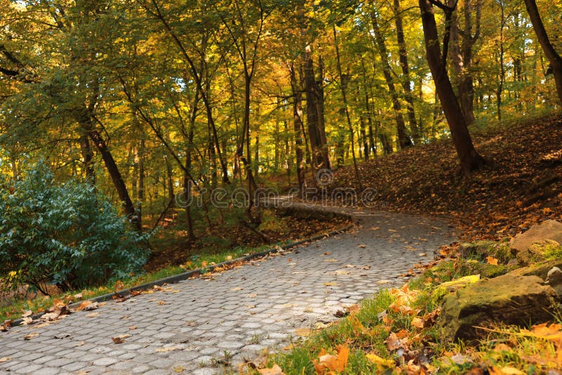 Pathway, Fallen Leaves and Trees in Beautiful Park on Autumn Day Stock ...