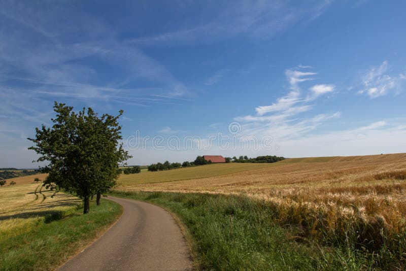 A pathway in a farm stock image. Image of grass, nature - 203354613