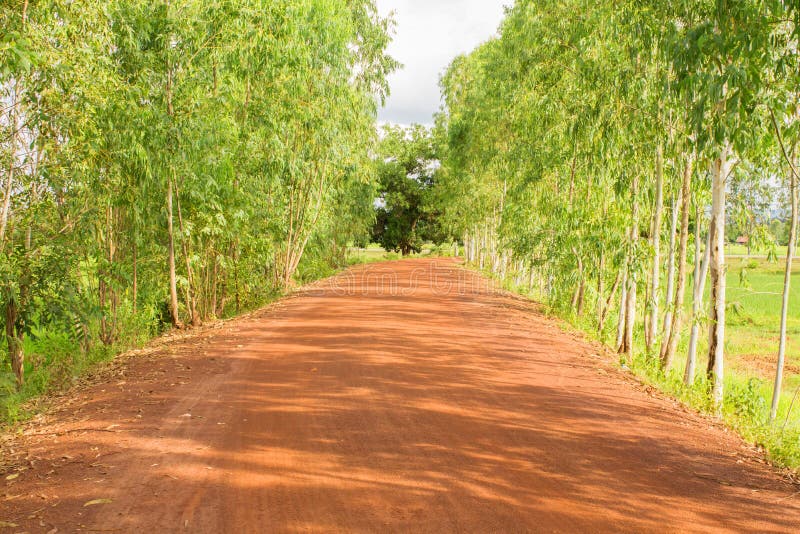 Pathway in the farm stock image. Image of sunny, long - 33663743