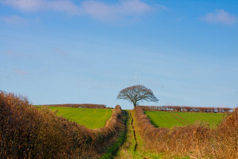 Path to strength stock photo. Image of england, horizon - 30051036