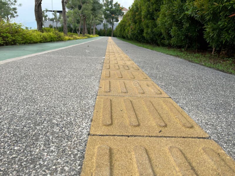 A Pathway Featuring Tactile Indicators for Navigation, Lined by ...