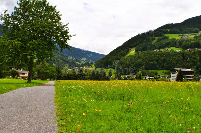 Pathway in Field - Austrian Alps Stock Image - Image of hill, grass ...