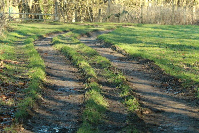 Pathway through a field stock photo. Image of garden - 239544376