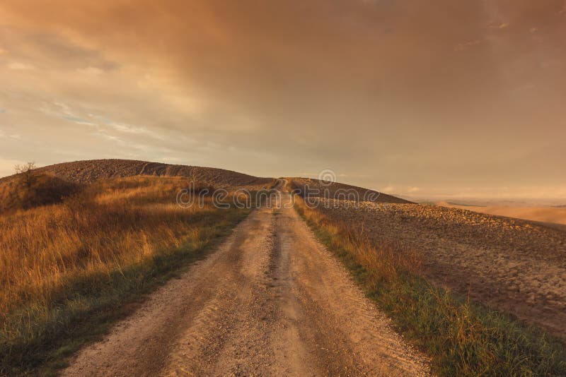 Pathway between Fields in Rural Area of Tuscany Stock Photo - Image of ...