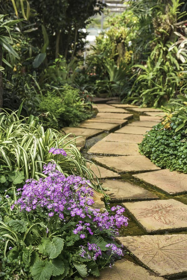 Pathway in flower garden stock photo. Image of tranquil - 46986910