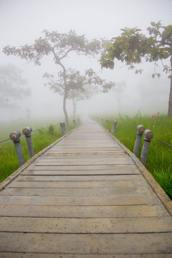 Pathway, fog, stock photo. Image of track, bridge, pathway - 42695382