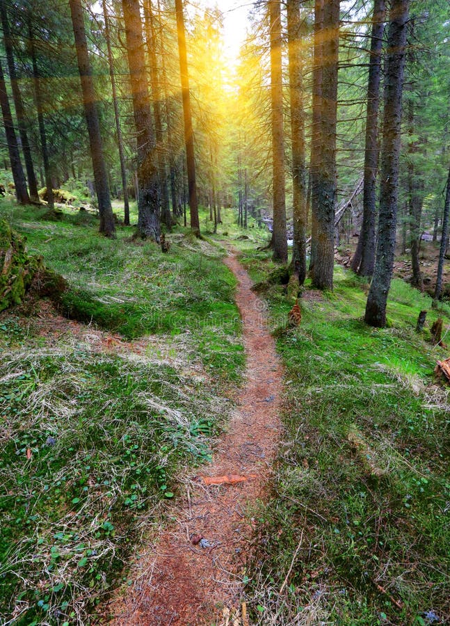 Pathway stock photo. Image of rock, altitude, path, rocky - 6311846