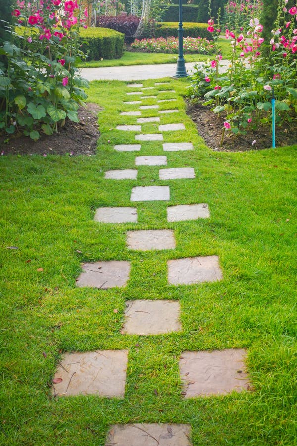 Pathway in garden stock photo. Image of landscaped, grass - 37660200