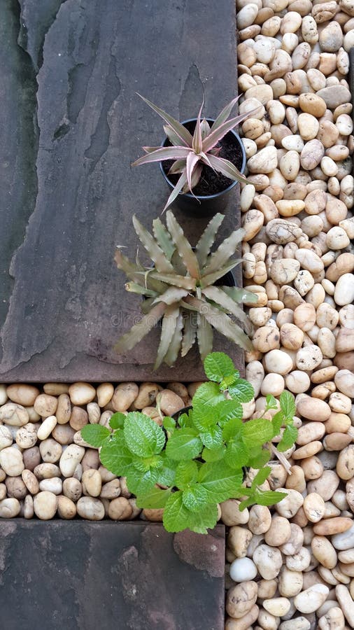 Pathway in garden stock image. Image of shape, square - 80426707