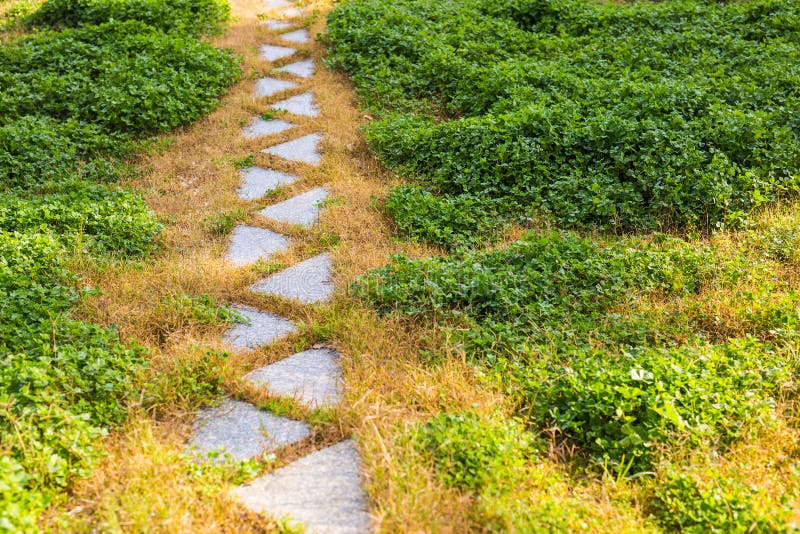 Pathway in Garden,green Lawns with Bricks Pathways,garden Landscape ...