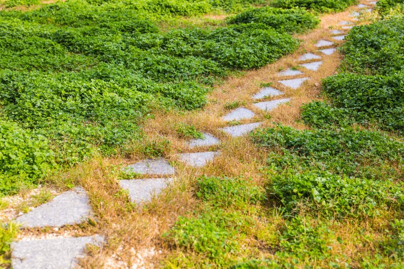 Pathway in Garden,green Lawns with Bricks Pathways,garden Landscape ...