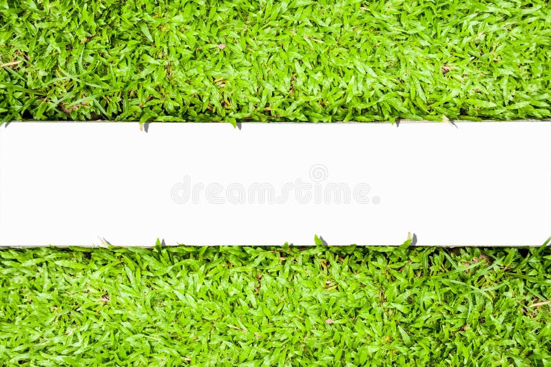 Pathway in garden stock photo. Image of simple, blank - 33616704