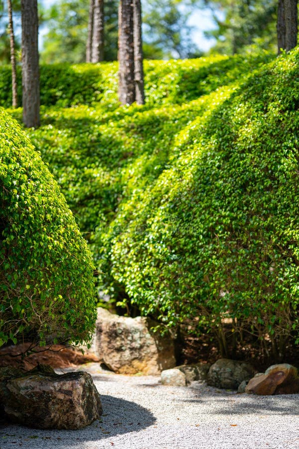 Pathway through a Garden Nature Scene Stock Image - Image of nature ...