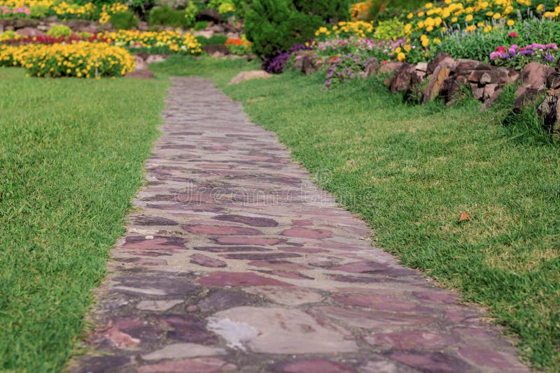 Pathway in garden. stock image. Image of gardening, hedge - 121380415