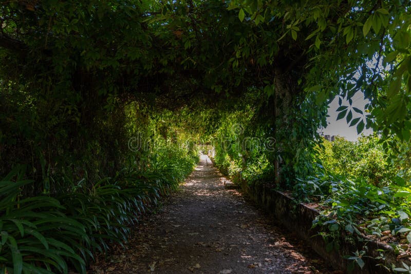 Pathway in a Garden Surrounded by Greenery Under Sunlight in Tomar in ...