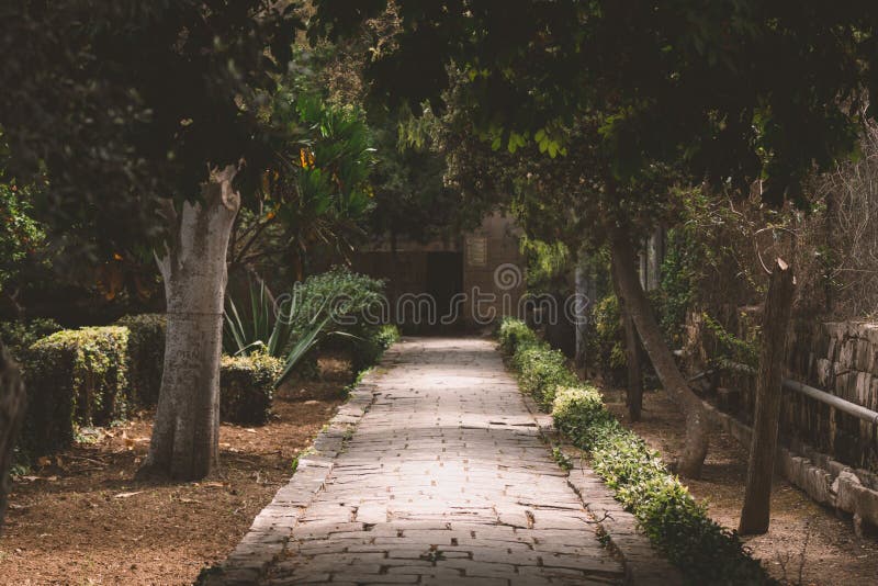Pathway in the Garden with Trees Around Stock Photo - Image of ...