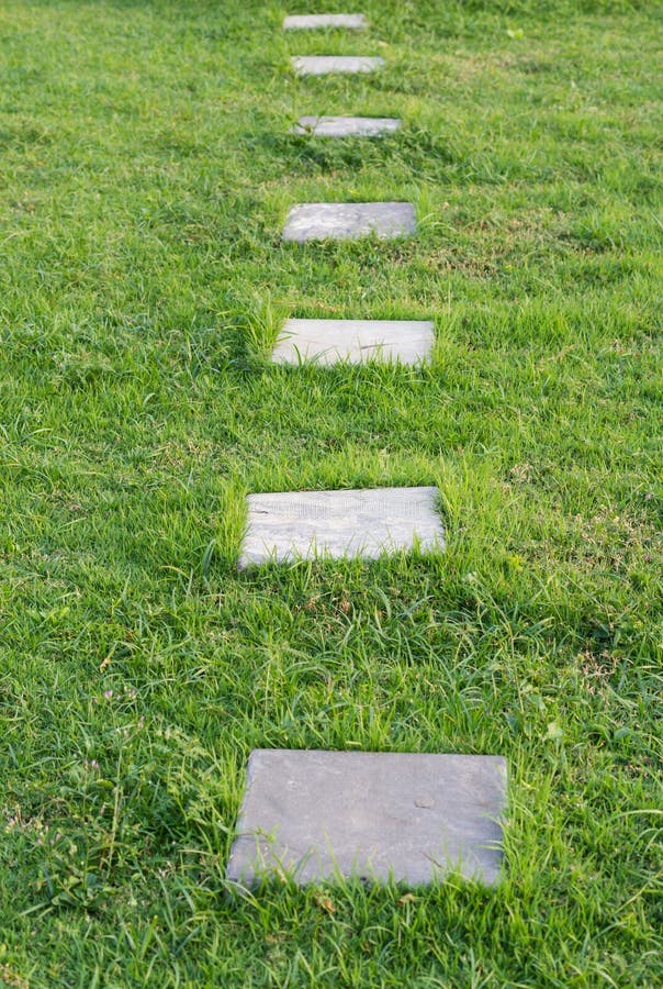 Pathway on the grass stock photo. Image of pattern, blue - 37873418