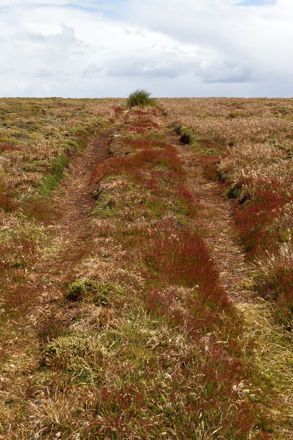 Pathway in the grass stock image. Image of cloud, endless - 31074239