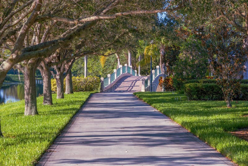 Pathway with Grass and Trees Growing on the Side Stock Image - Image of ...