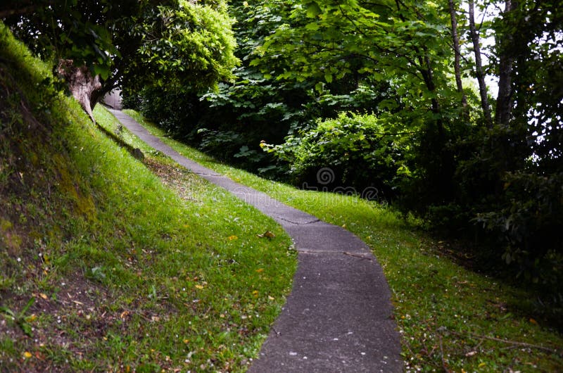 Pathway through Grass and Trees To Wellington Botanic Garden Stock ...