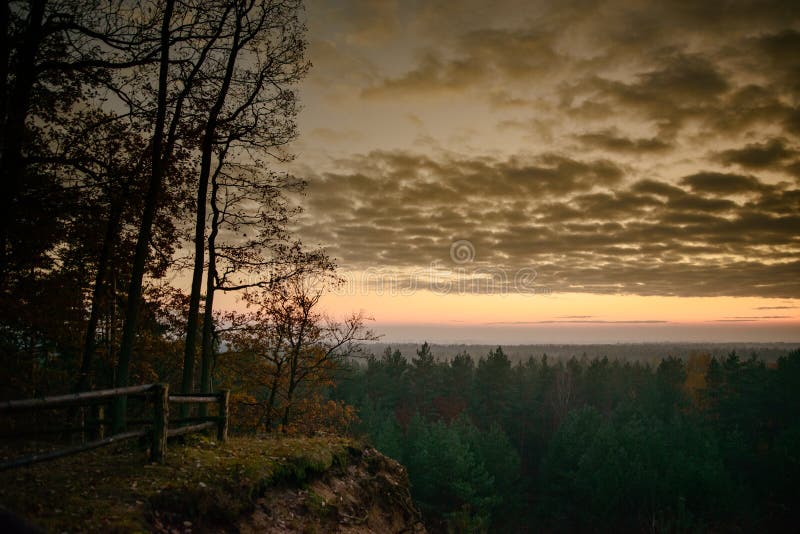 Pathway in Green Forest during Spring Time. Blurred People Walking in ...