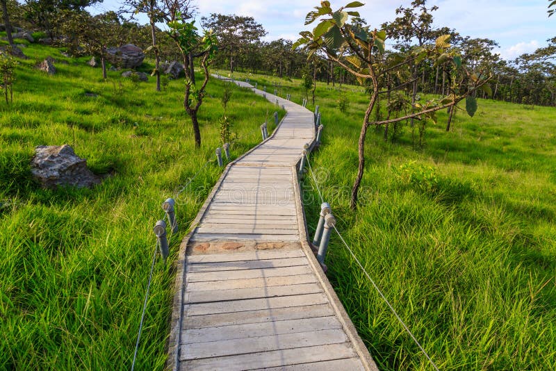 Pathway stock image. Image of peaceful, holiday, town - 45901327