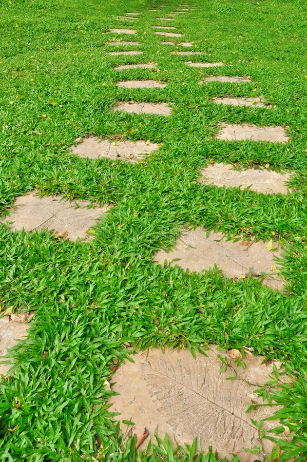 Pathway in a green grass stock image. Image of leafy - 21561307