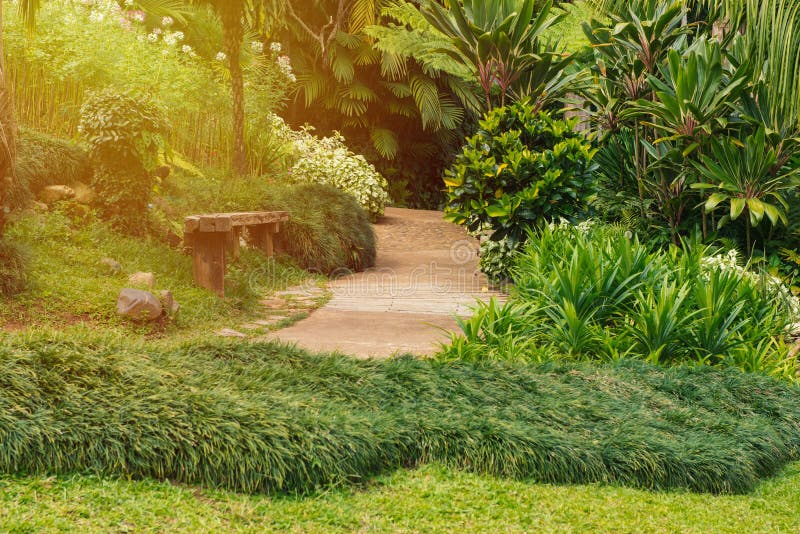 Pathway with Green Grass in Garden at Public Park Stock Photo - Image ...