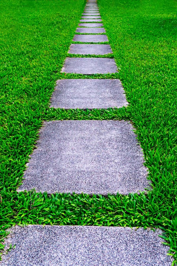 Pathway on the green grass stock image. Image of texture - 104669771