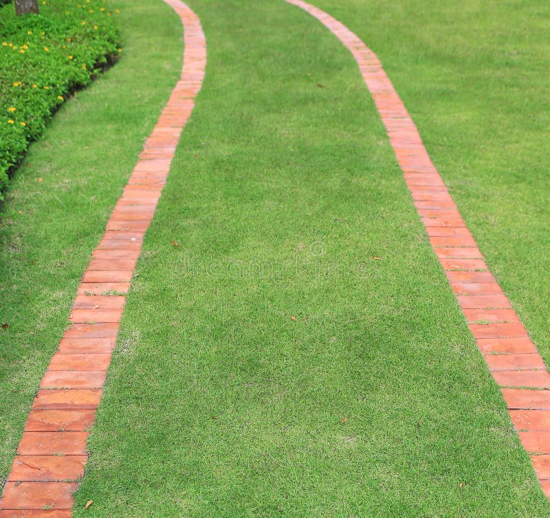 Pathway through green lawn stock photo. Image of curve - 160244288