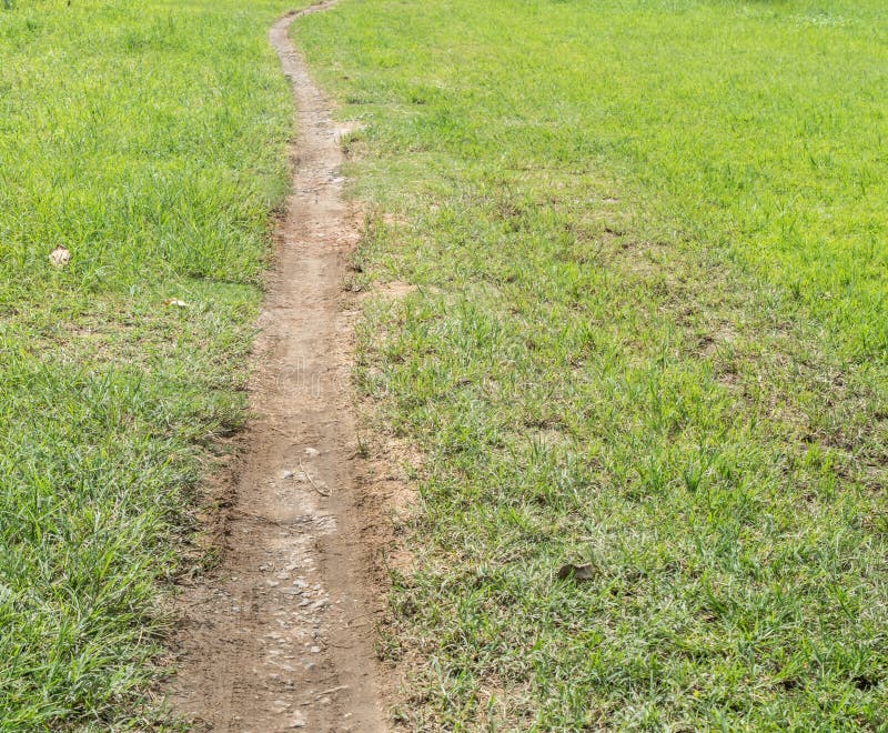 Pathway in the green lawn stock photo. Image of soil - 76471320