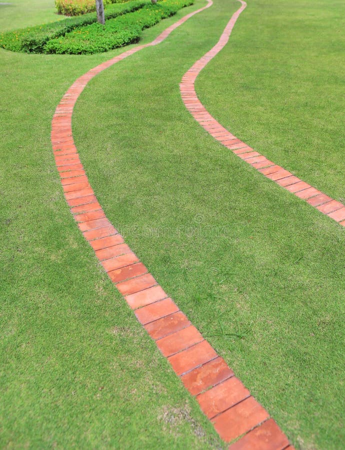 Pathway through green lawn stock photo. Image of field - 160244048