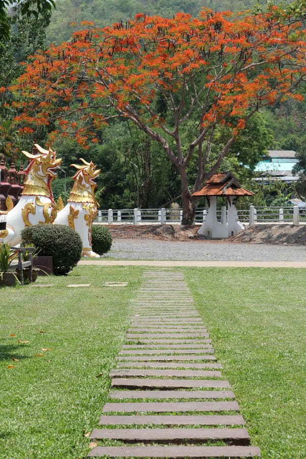 The Pathway on the Green Lawn. Stock Image - Image of thai, peaceful ...