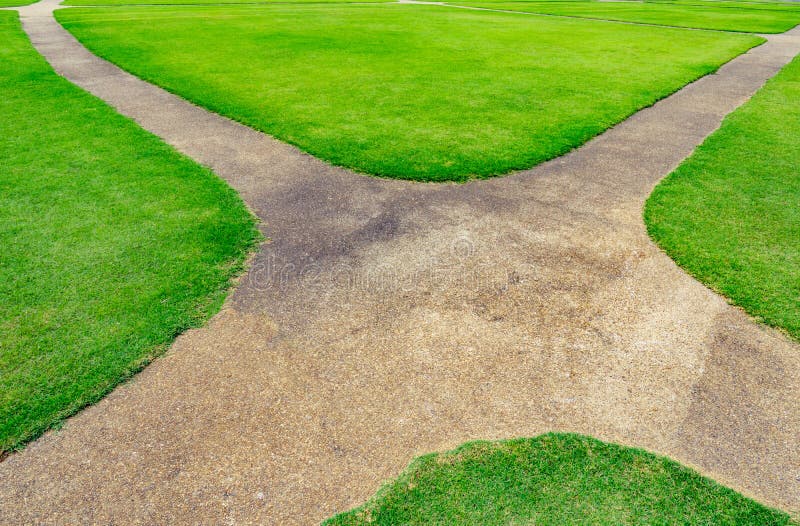Pathway on the Green Lawn Texture Background. Stock Image - Image of ...