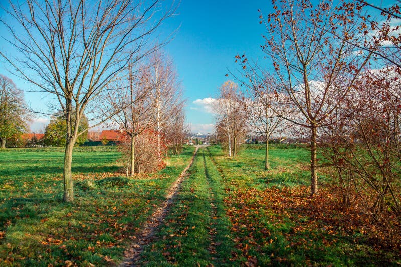 Pathway in Green Meadow Whith Autumn Colors Stock Image - Image of ...