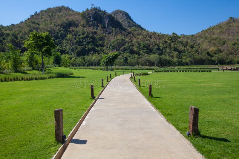 Pathway with green stock image. Image of material, landscape - 101810029